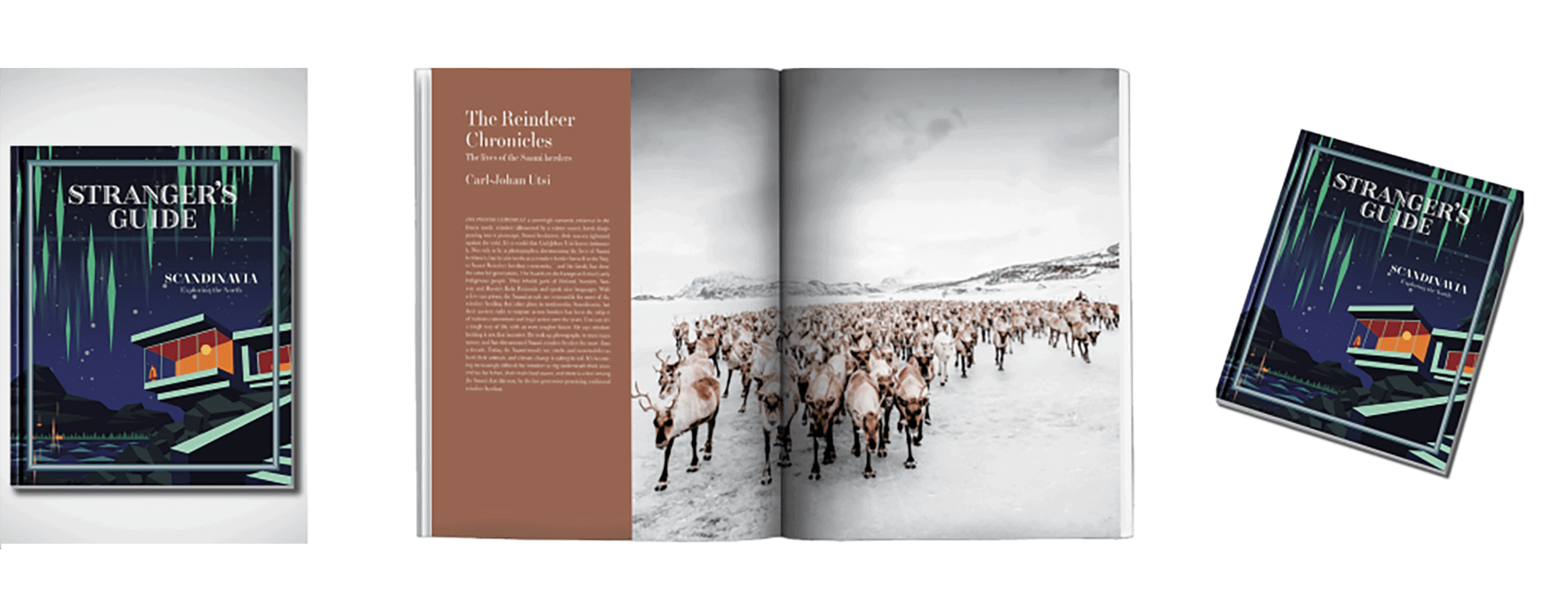 Stranger's Guide to Scandinavia — Virtual Panel - Scandinavia House