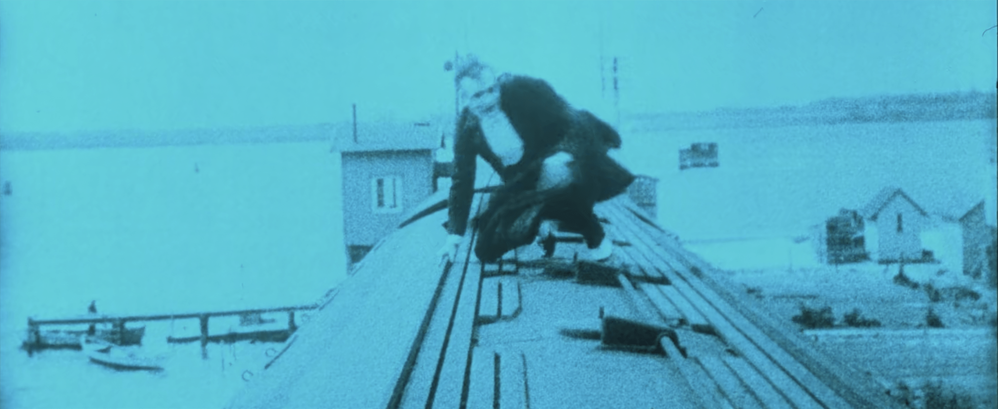 DR. NICHOLSON AND THE BLUE DIAMOND: THE ART OF EARLY EUROPEAN CINEMA ...