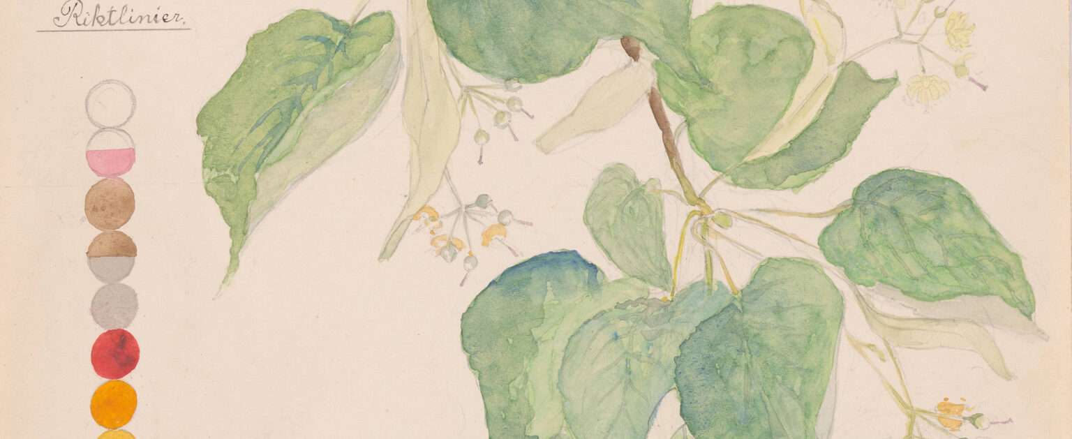 Hilma af Klint's Botanical World