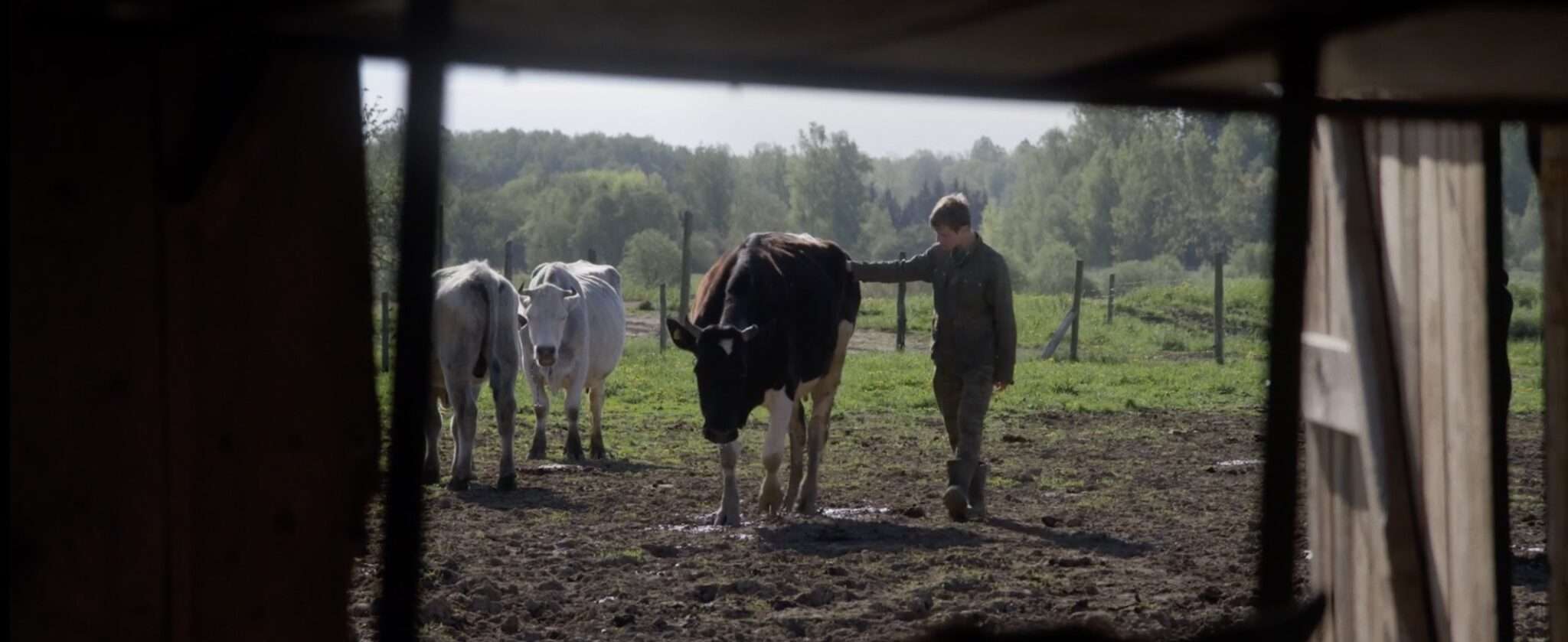 MURMURING HEARTS - Scandinavia House