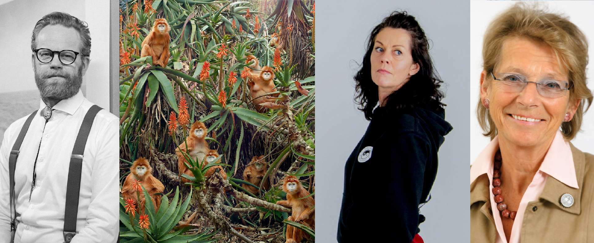 Artist-Curator-Talk-Banner-01 - Scandinavia House